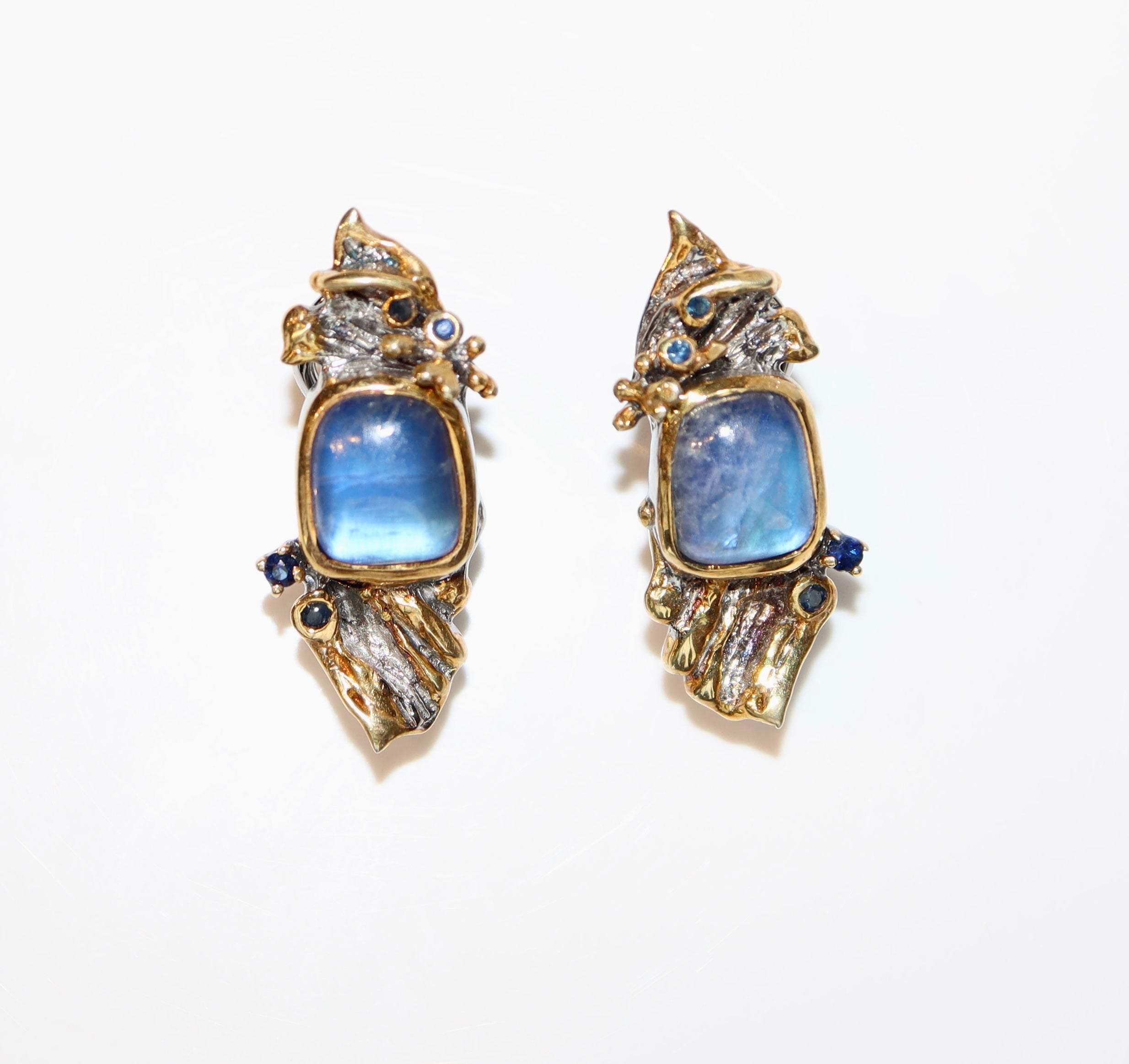 Spectrolite & Sapphire Post Earrings – Raku Gallery